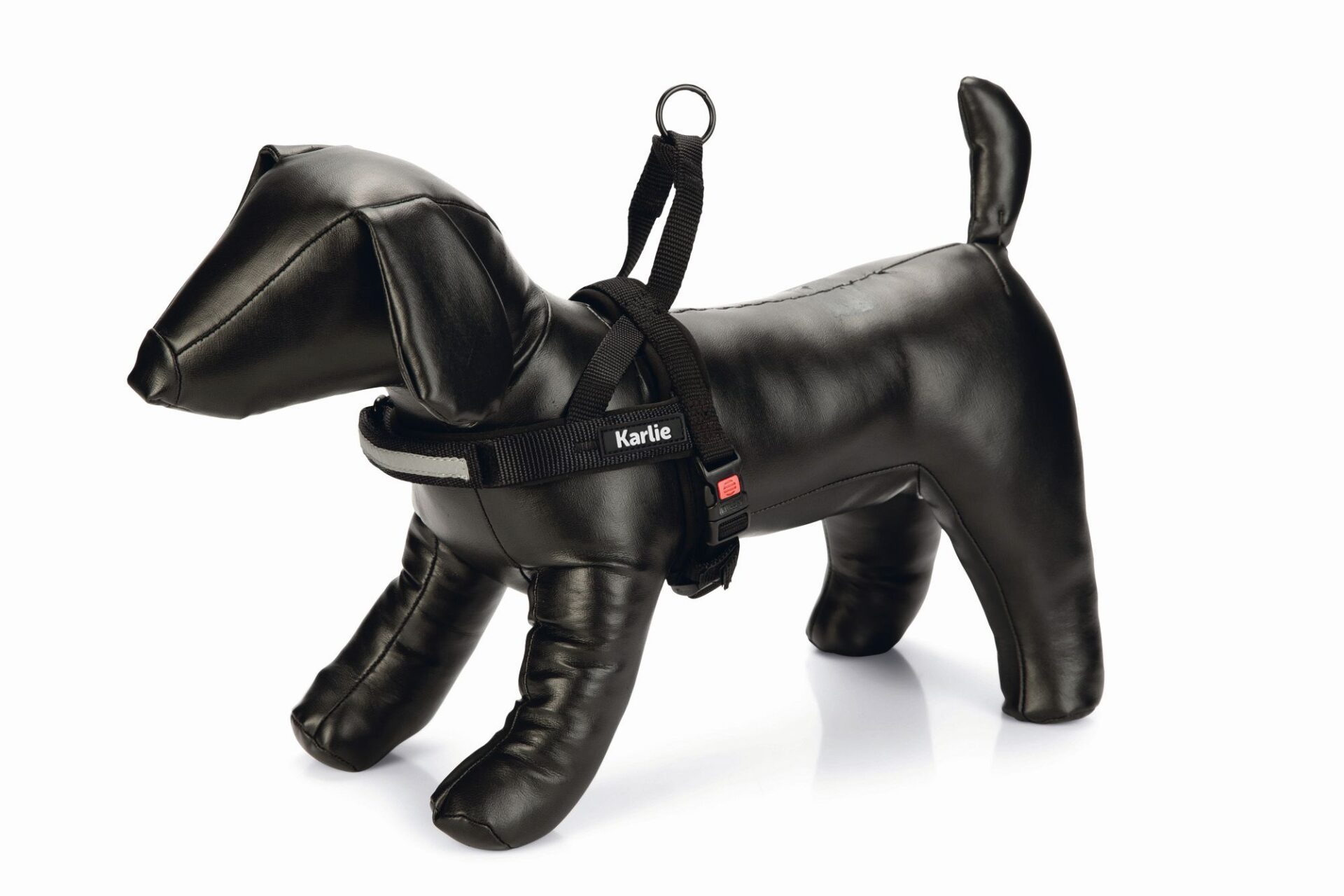 Art sportiv premium am za psa | Noa Pet World